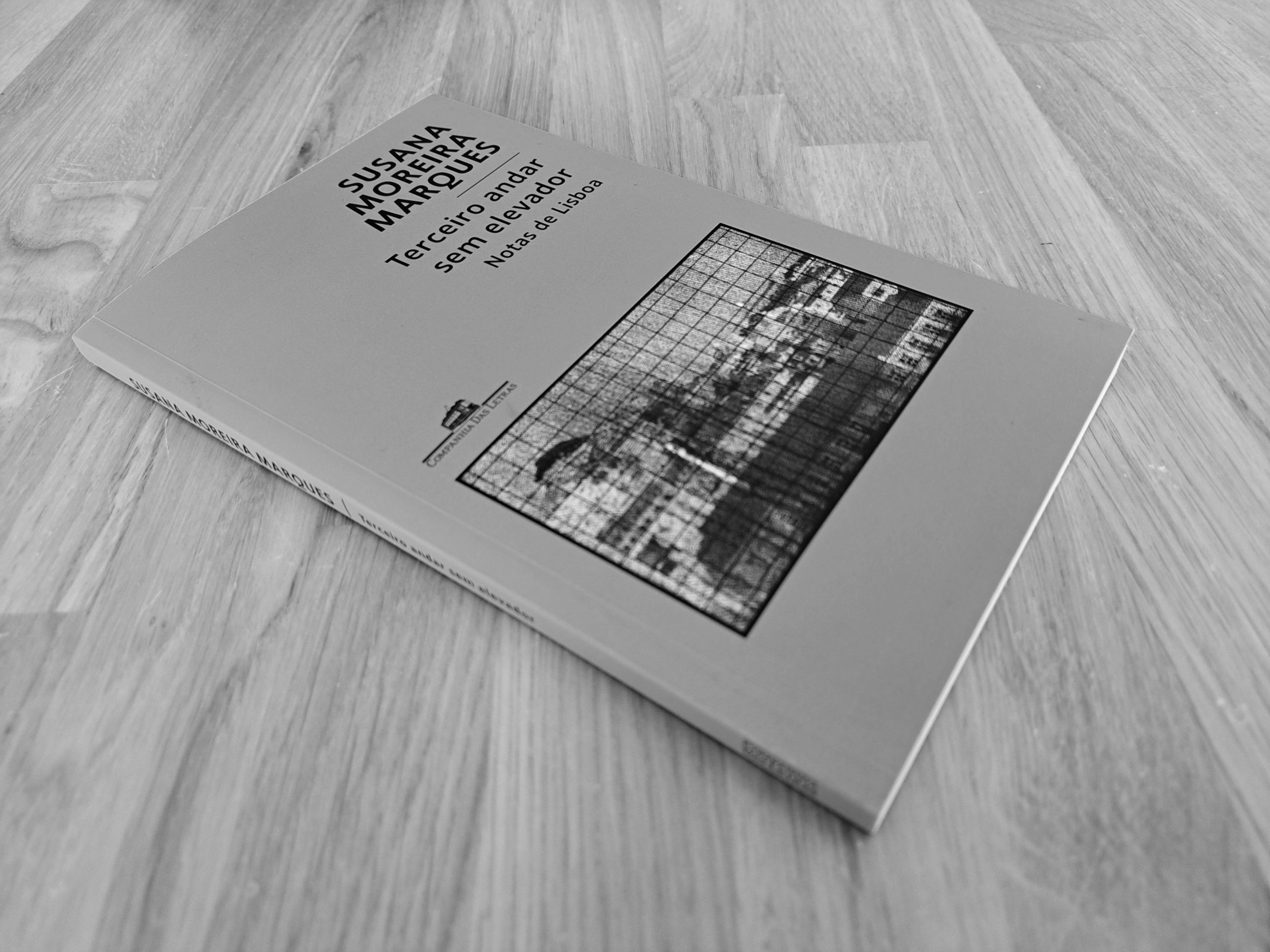 Terceiro andar sem elevador – Susana M. Marques (Cia. das Letras, 2024 ...